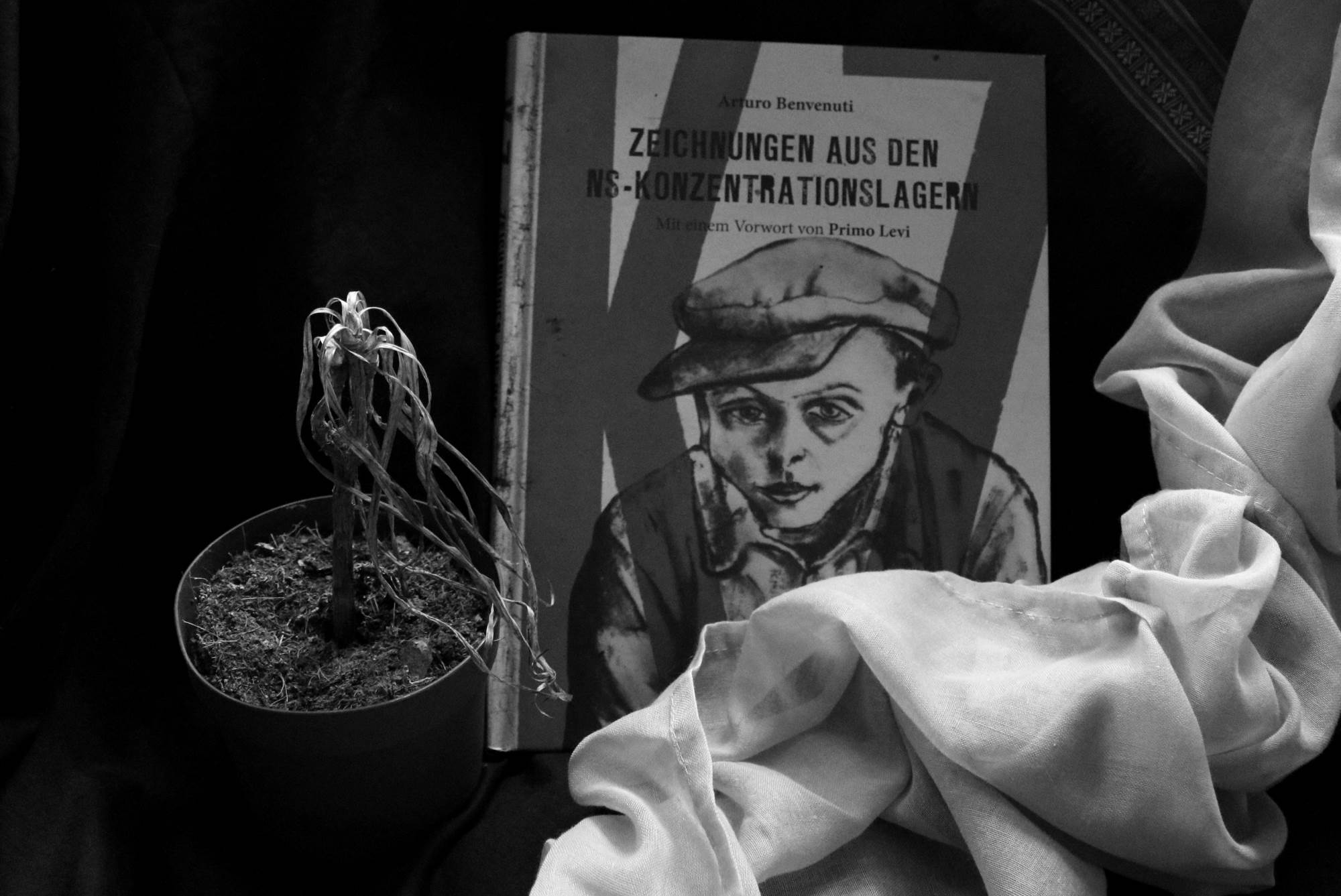 Bilder aus den KZs Beitragsbild | Crow and Kraken